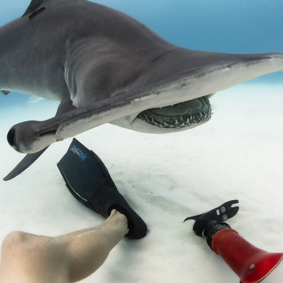 Diver Hammerhead Shark 1183-170LE-3A-HAMMER/3A Watch