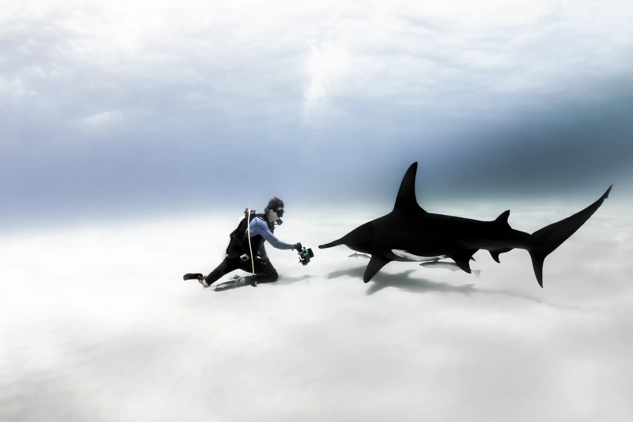 Diver Hammerhead Shark 1183-170LE-3A-HAMMER/3A Watch